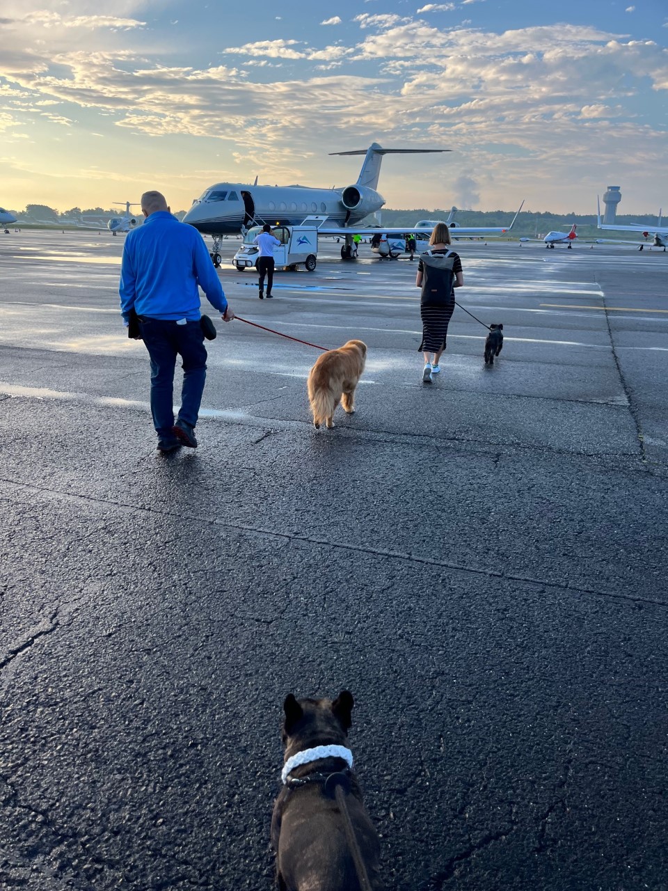 Pet Jets Routes: Where We Fly And Why | Pet Jets Private Air Transportation
