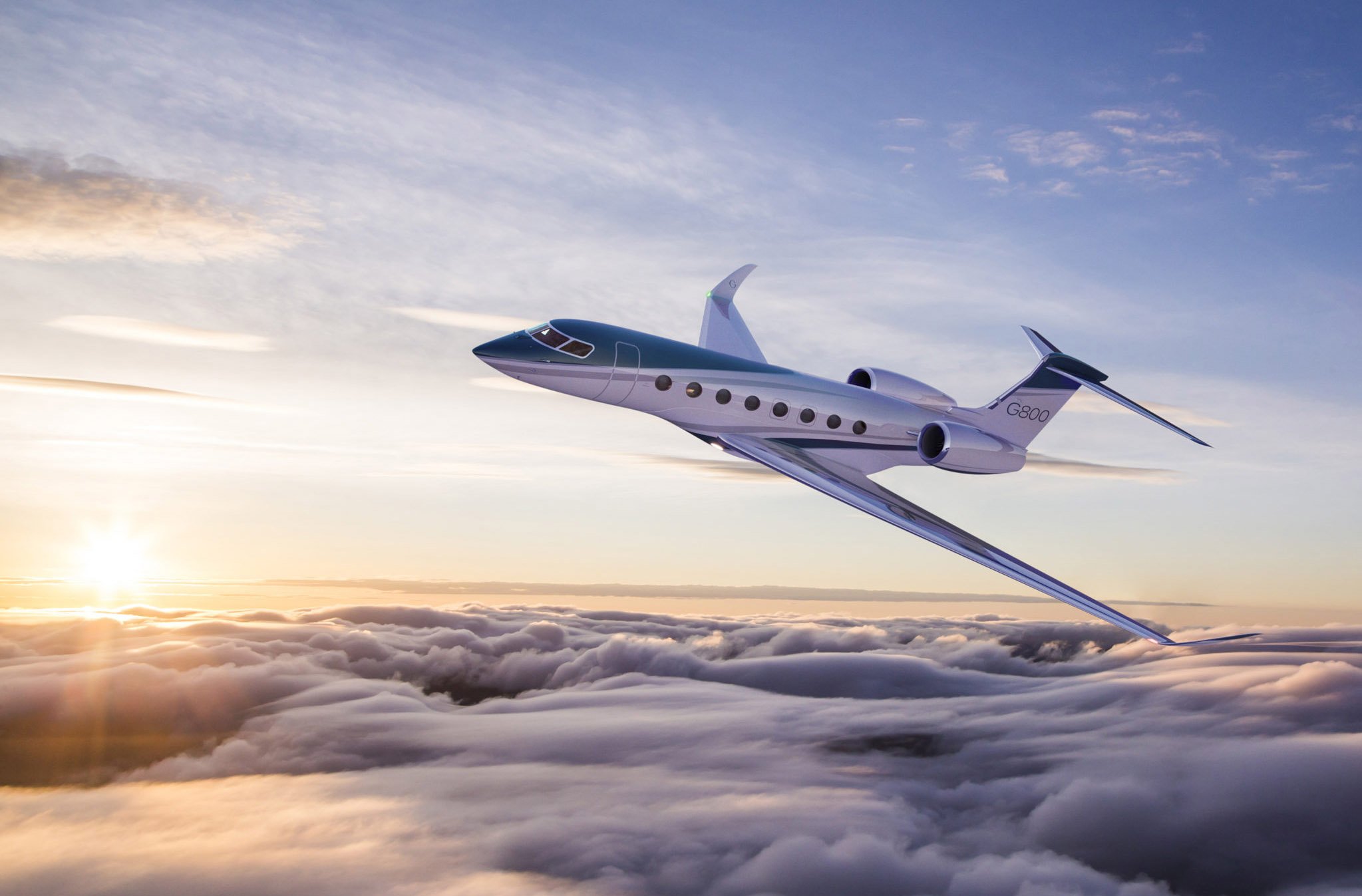 Pet Jets: VIP Pet Only Flights To Hawaii | Pet Jets Private Air ...