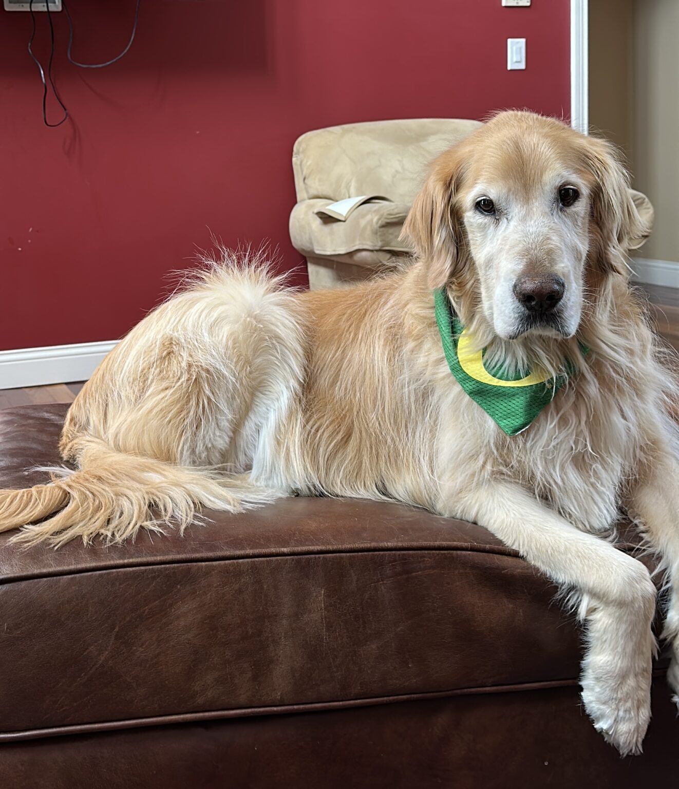 Pet Jets - Flight List | Pet Jets Private Air Transportation