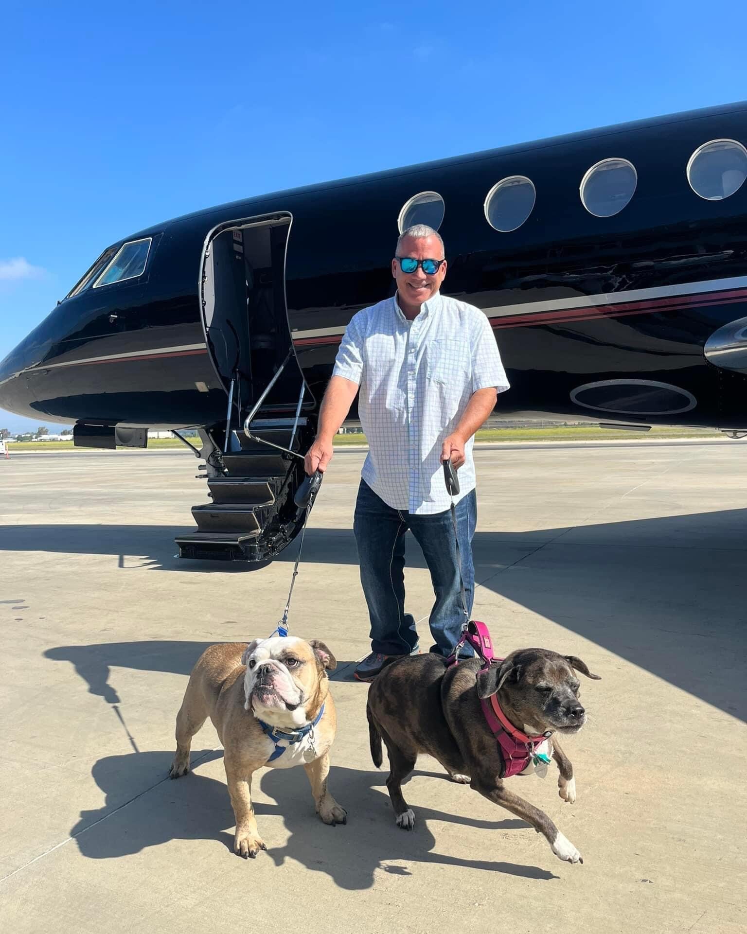 Pet Jets Private Air Transportation for pet owners and pets.