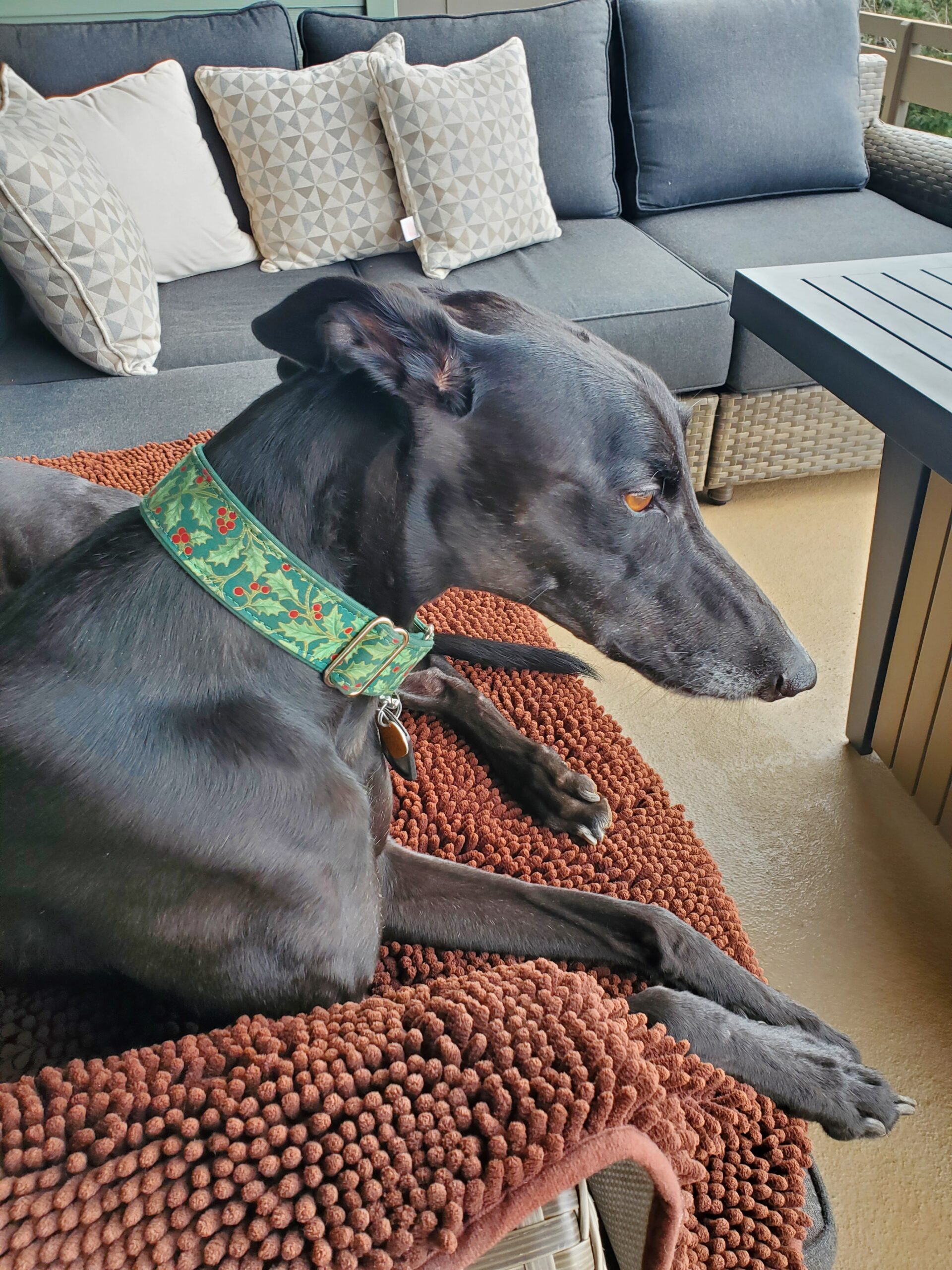 Pet Jets - Flight List | Pet Jets Private Air Transportation