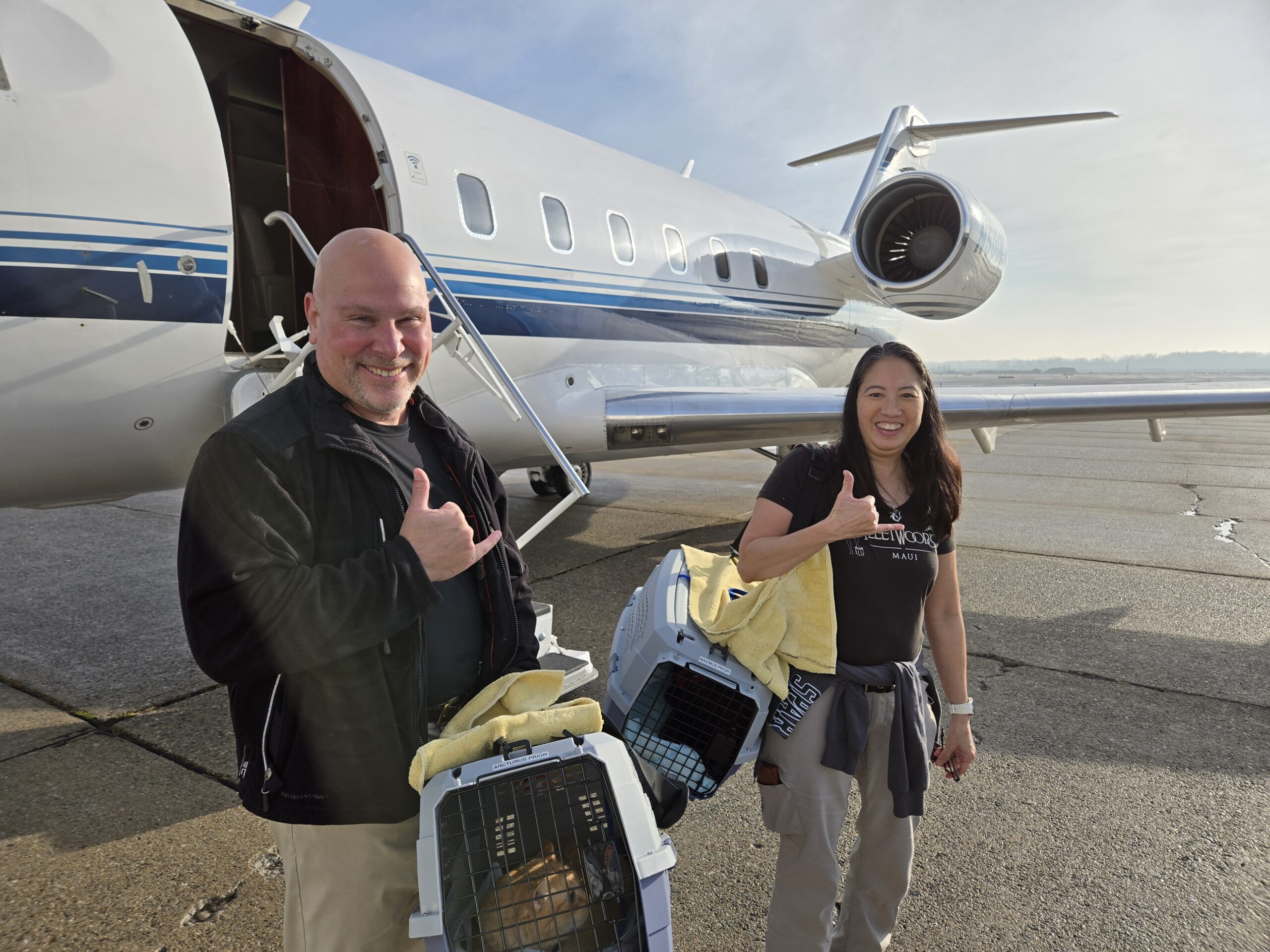 Project Management - Pet Jets - Made to Jetset Inc.